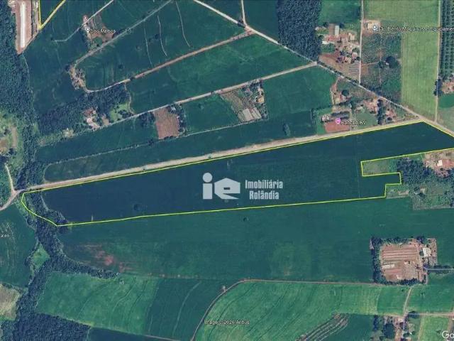 Sítio / Chácara para Venda em Rolândia/PR Área Rural de Rolândia