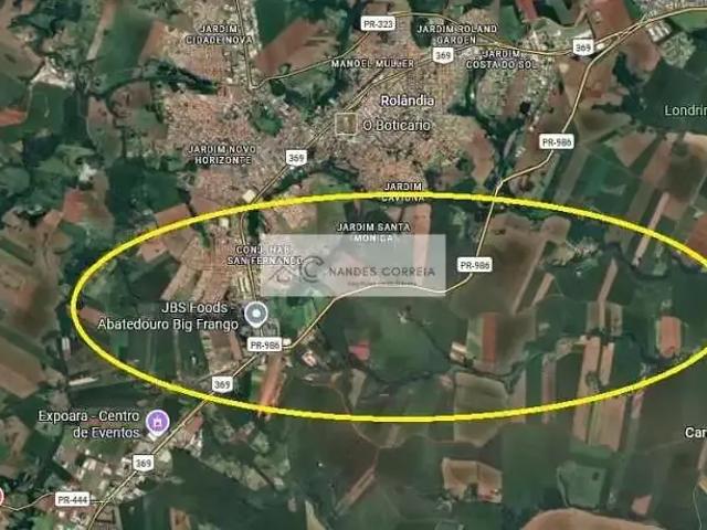 Sítio / Chácara para Venda em Rolândia/PR Área Rural de Rolândia