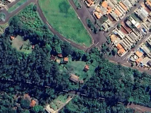 Sítio / Chácara para Venda em Rolândia/PR Centro