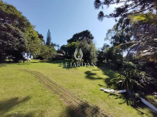 Sítio / Chácara para Venda em Rolândia/PR Centro 6 Quartos