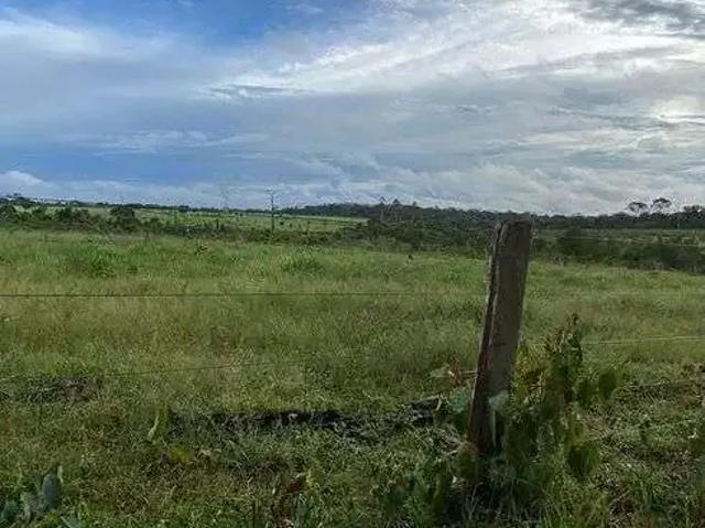 Sítio / Chácara para Venda em Rosário Oeste/MT Centro