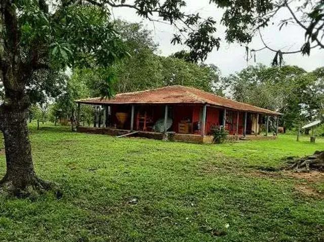 Sítio / Chácara para Venda em Rosário Oeste/MT Centro