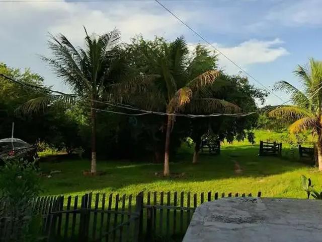 Sítio / Chácara para Venda em Rosário Oeste/MT Zona Rural 3 Quartos