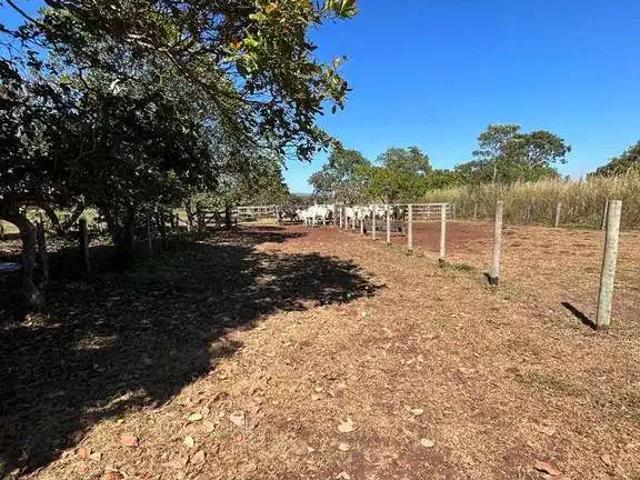 Sítio / Chácara para Venda em Rosário Oeste/MT Zona Rural 4 Quartos