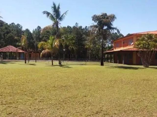 Sítio / Chácara para Venda em Rancharia/SP Centro 4 Quartos