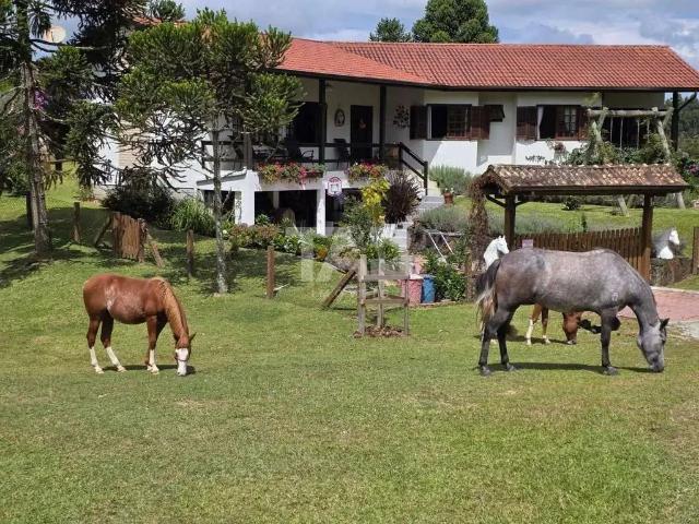Sítio / Chácara para Venda em Rancho Queimado/SC Centro 3 Quartos