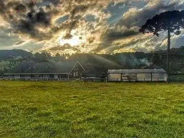Sítio / Chácara para Venda em Rancho Queimado/SC Centro 7 Quartos