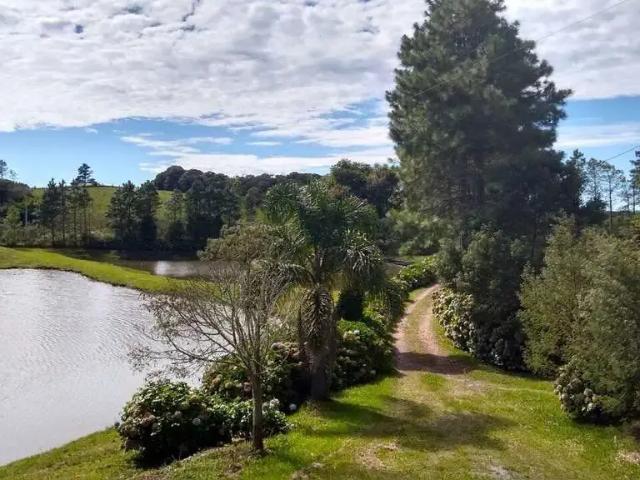 Sítio / Chácara para Venda em Rancho Queimado/SC Centro 7 Quartos