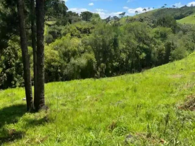 Sítio / Chácara para Venda em Rancho Queimado/SC Invernadinha