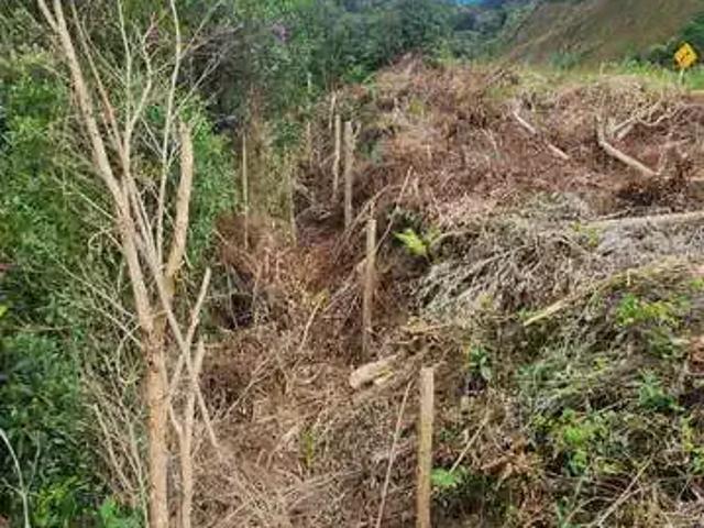 Sítio / Chácara para Venda em Rancho Queimado/SC Rio das Antas