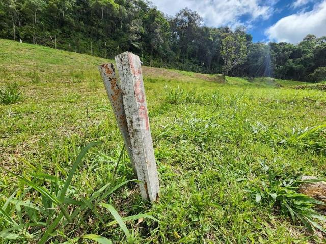 Sítio / Chácara para Venda em Rancho Queimado/SC Rio das Antas