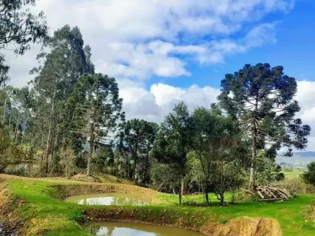 Sítio / Chácara para Venda em Rancho Queimado/SC Taquaras 2 Quartos