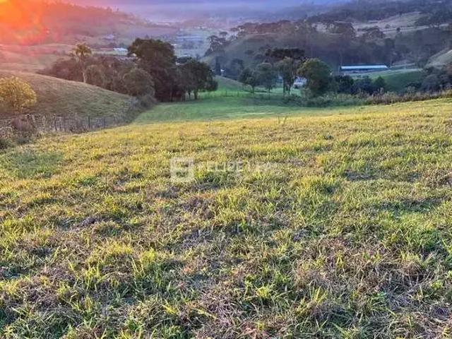 Sítio / Chácara para Venda em Rancho Queimado/SC Taquaras