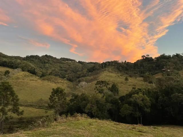 Sítio / Chácara para Venda em Rancho Queimado/SC Vargedo