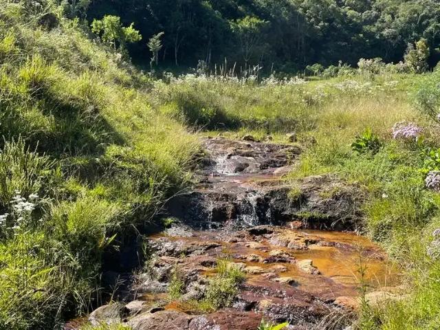 Sítio / Chácara para Venda em Rancho Queimado/SC Vargedo
