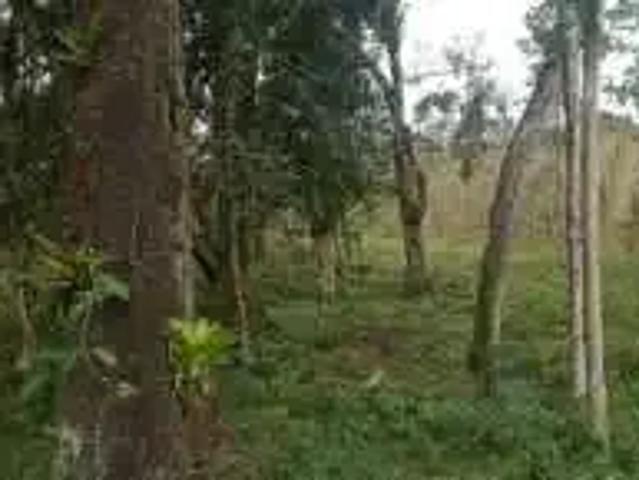 Sítio / Chácara para Venda em Rancho Queimado/SC Zona Rural