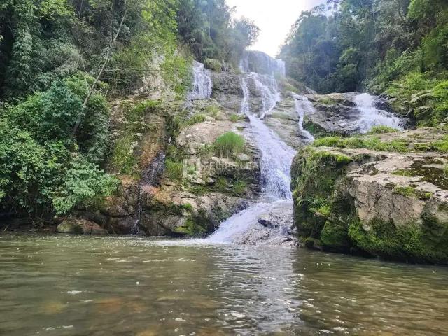 Sítio / Chácara para Venda em Rancho Queimado/SC Zona Rural 3 Quartos