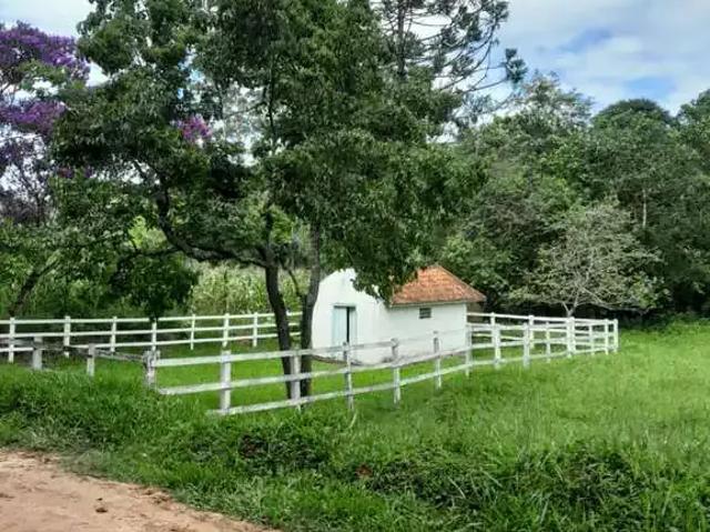 Sítio / Chácara para Venda em Redenção da Serra/SP Samambaia