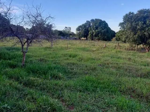 Sítio / Chácara para Venda em Regente Feijó/SP Zona Rural