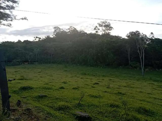 Sítio / Chácara para Venda em Regente Feijó/SP Zona Rural