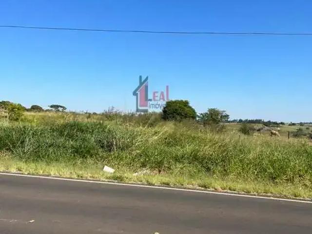 Sítio / Chácara para Venda em Regente Feijó/SP Zona Rural