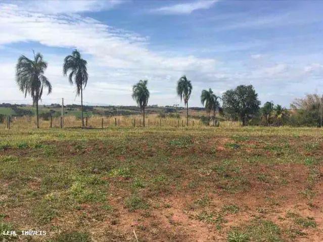 Sítio / Chácara para Venda em Regente Feijó/SP Zona Rural