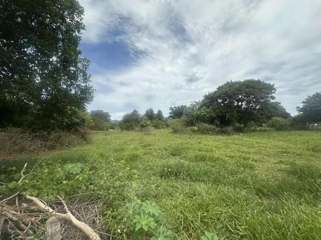 Sítio / Chácara para Venda em Regente Feijó/SP Zona Rural
