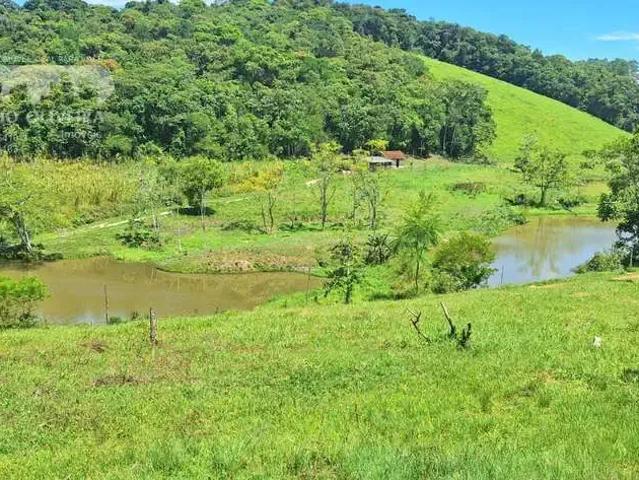Sítio / Chácara para Venda em Registro/SP Zona Rural 3 Quartos