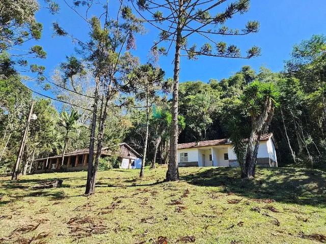 Sítio / Chácara para Venda em Resende/RJ Área Rural de Resende 9 Quartos