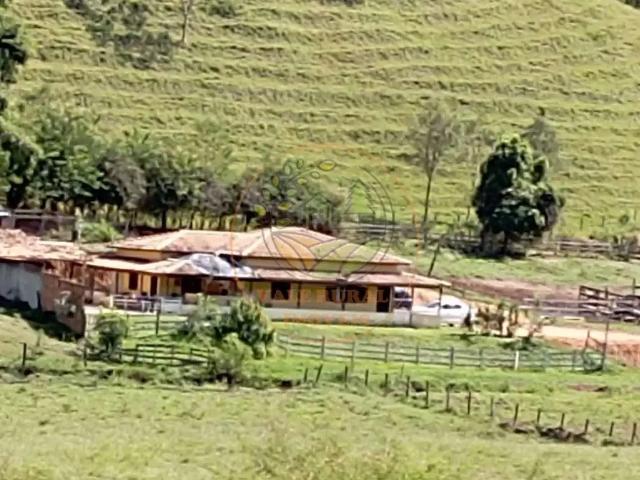 Sítio / Chácara para Venda em Resende/RJ Centro 3 Quartos
