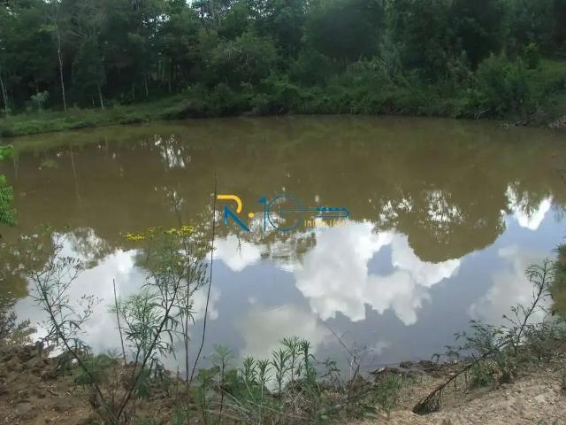 Sítio / Chácara para Venda em Reserva/PR Zona Rural