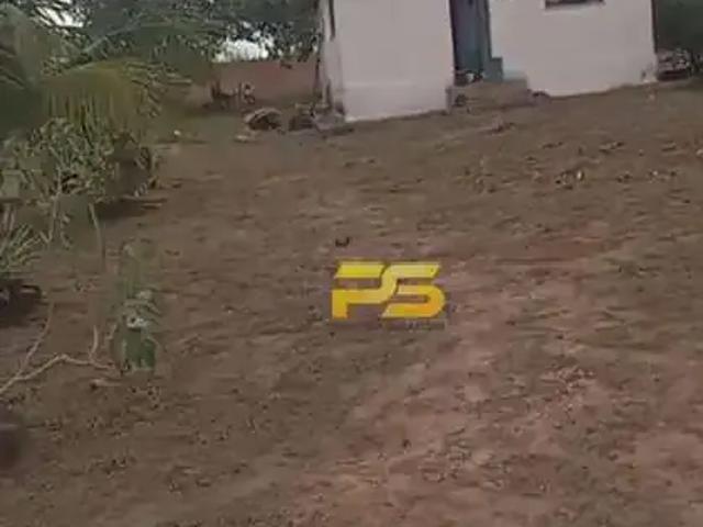 Sítio / Chácara para Venda em Riachão do Poço/PB Zona Rural 2 Quartos