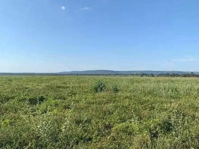 Sítio / Chácara para Venda em Riachinho/MG Zona Rural