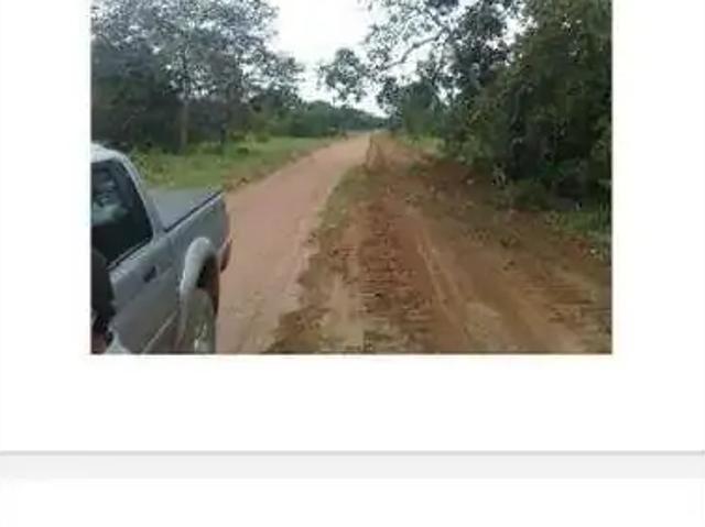 Sítio / Chácara para Venda em Riacho Frio/PI Zona Rural