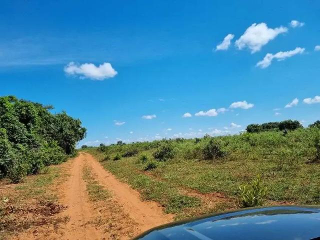 Sítio / Chácara para Venda em Ribas do Rio Pardo/MS Centro