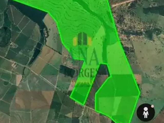 Sítio / Chácara para Venda em Ribeirão Bonito/SP Centro 1 Quartos
