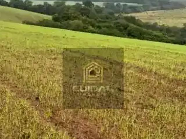 Sítio / Chácara para Venda em Ribeirão do Pinhal/PR Centro 1 Quartos