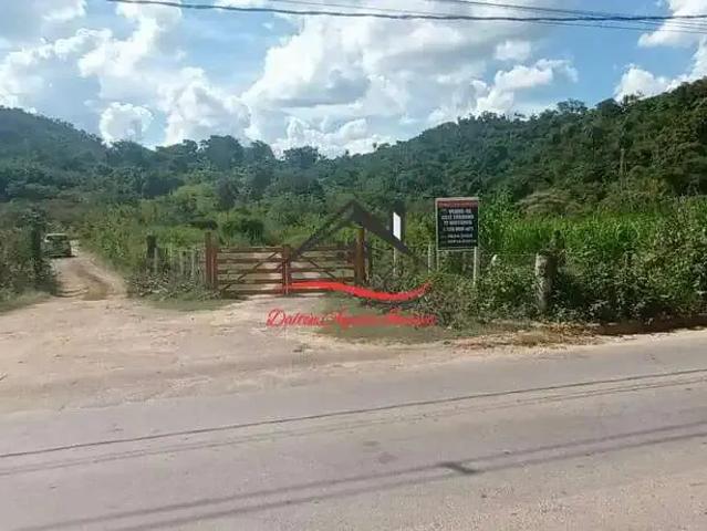Sítio / Chácara para Venda em Ribeirão das Neves/MG Santinho