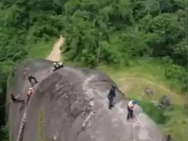 Sítio / Chácara para Venda em Ribeirão Pires/SP Quarta Divisão