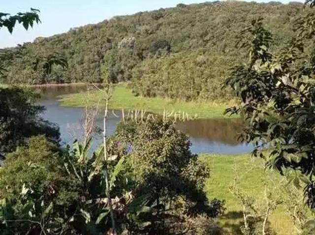 Sítio / Chácara para Venda em Ribeirão Pires/SP Represa 1 Quartos