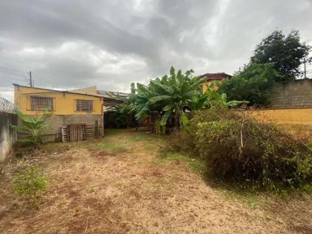 Sítio / Chácara para Venda em Ribeirão Preto/SP Vila Virgínia 3 Quartos