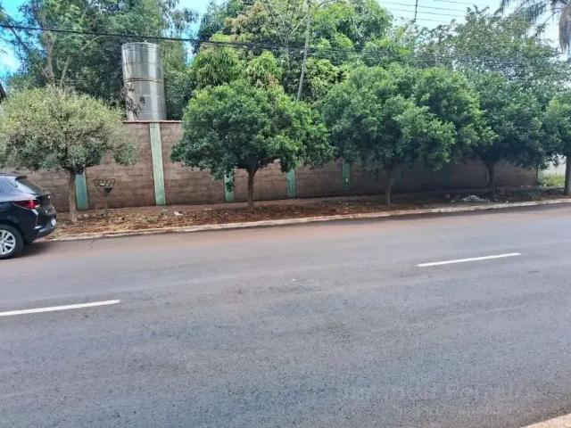 Sítio / Chácara para Venda em Ribeirão Preto/SP Vila Virgínia