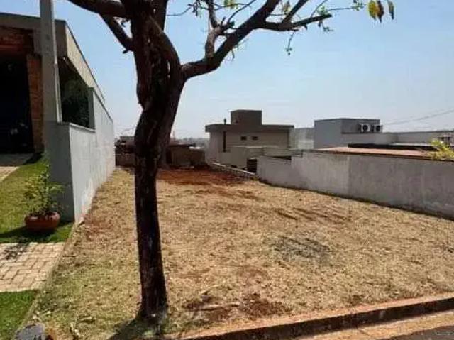 Sítio / Chácara para Venda em Ribeirão Preto/SP Bonfim Paulista