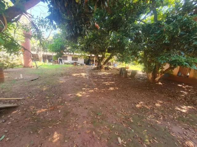 Sítio / Chácara para Venda em Ribeirão Preto/SP Jardim Florestan Fernandes 1 Quartos