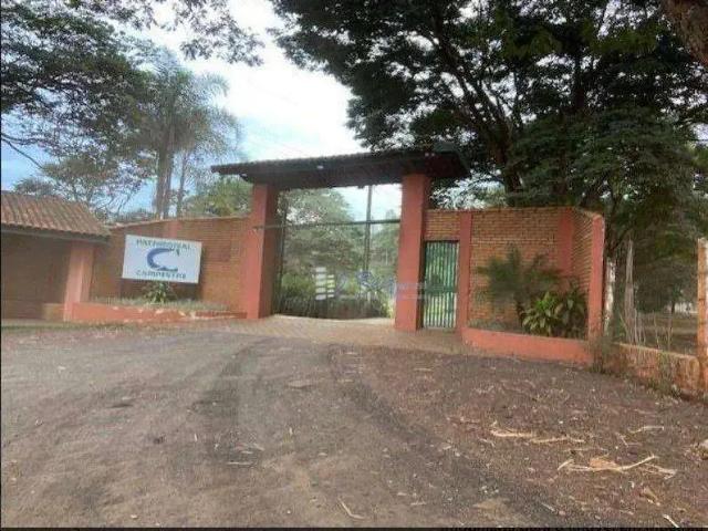 Sítio / Chácara para Venda em Ribeirão Preto/SP Jardim José Figueira 3 Quartos
