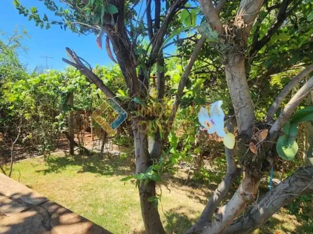 Sítio / Chácara para Venda em Ribeirão Preto/SP Jardim Maria Goretti 3 Quartos