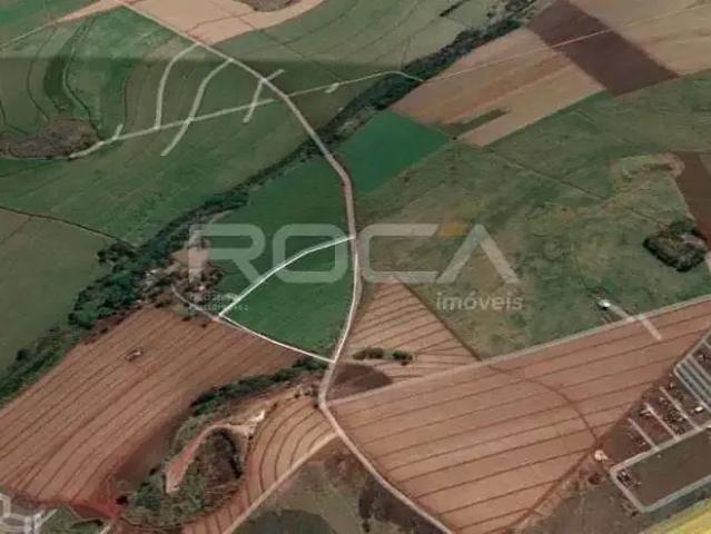 Sítio / Chácara para Venda em Ribeirão Preto/SP Parque das Oliveiras