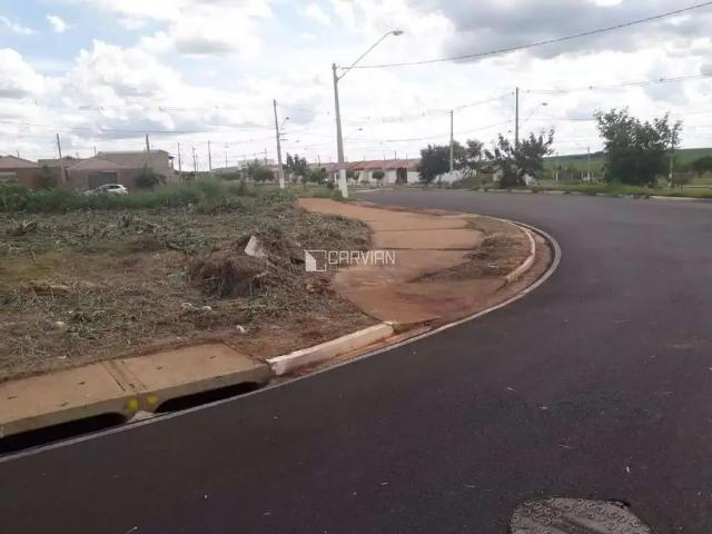 Sítio / Chácara para Venda em Ribeirão Preto/SP Parque das Oliveiras