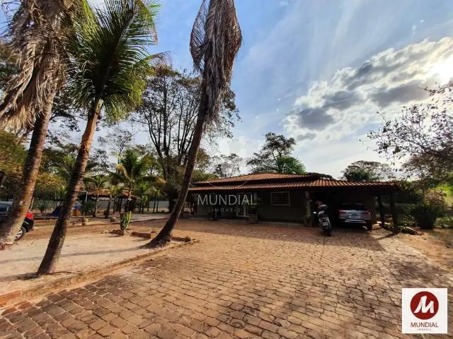 Sítio / Chácara para Venda em Ribeirão Preto/SP Parque São Sebastião 3 Quartos
