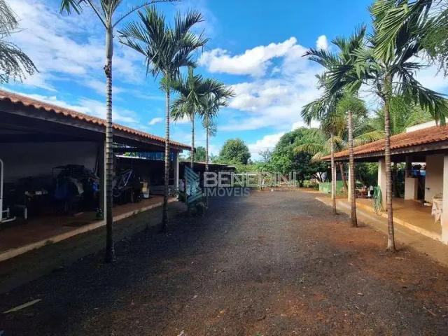 Sítio / Chácara para Venda em Ribeirão Preto/SP Recreio das Acácias 6 Quartos